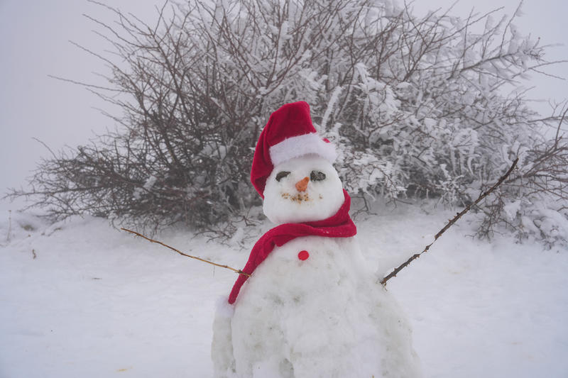 רובטים Archives - חרדים10